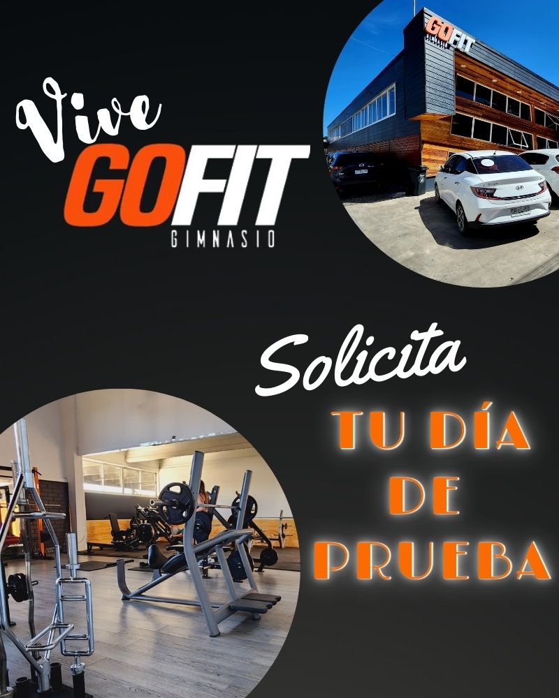 Gimnasio GOFIT